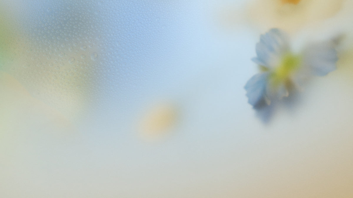 Natural Skincare for Congested Skin | KORA Organics